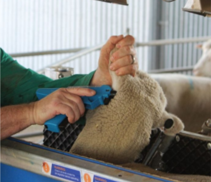 Dalehead Farm Newsletters